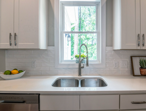 The Kitchen Sink Bacteria, Viruses, Fungi and Other Microbes That Coul ...